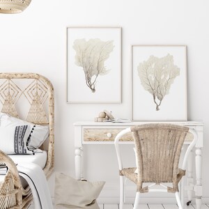 Slow Life Wall Decor, Neutral Watercolor Seafan, Minimalist Coastal ...