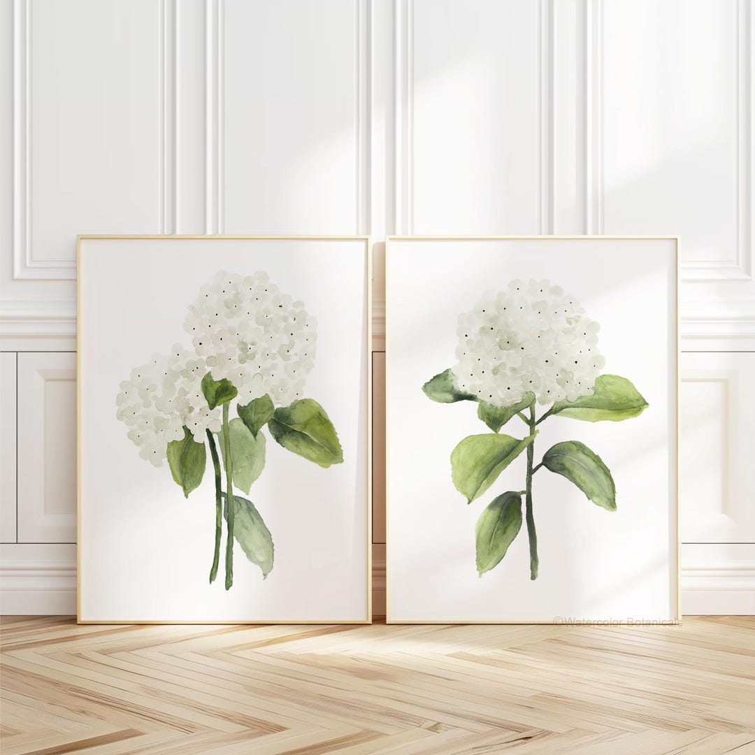 White Minimalist Hydrangea Prints – Set of 2 Floral Watercolor ...