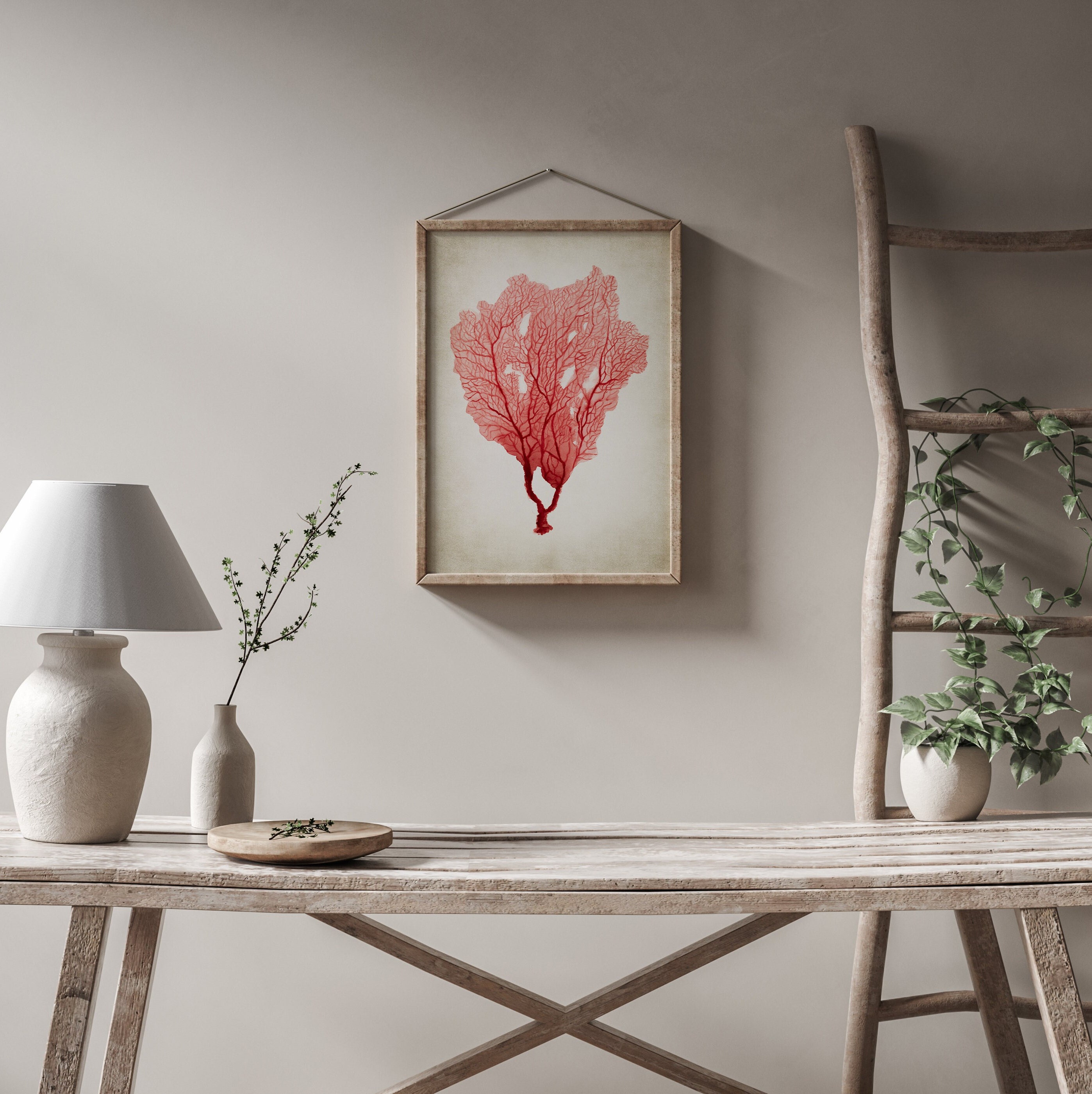 Vintage Red Coral Art Prints, Coastal Wall Decor, Set of 3 - Etsy