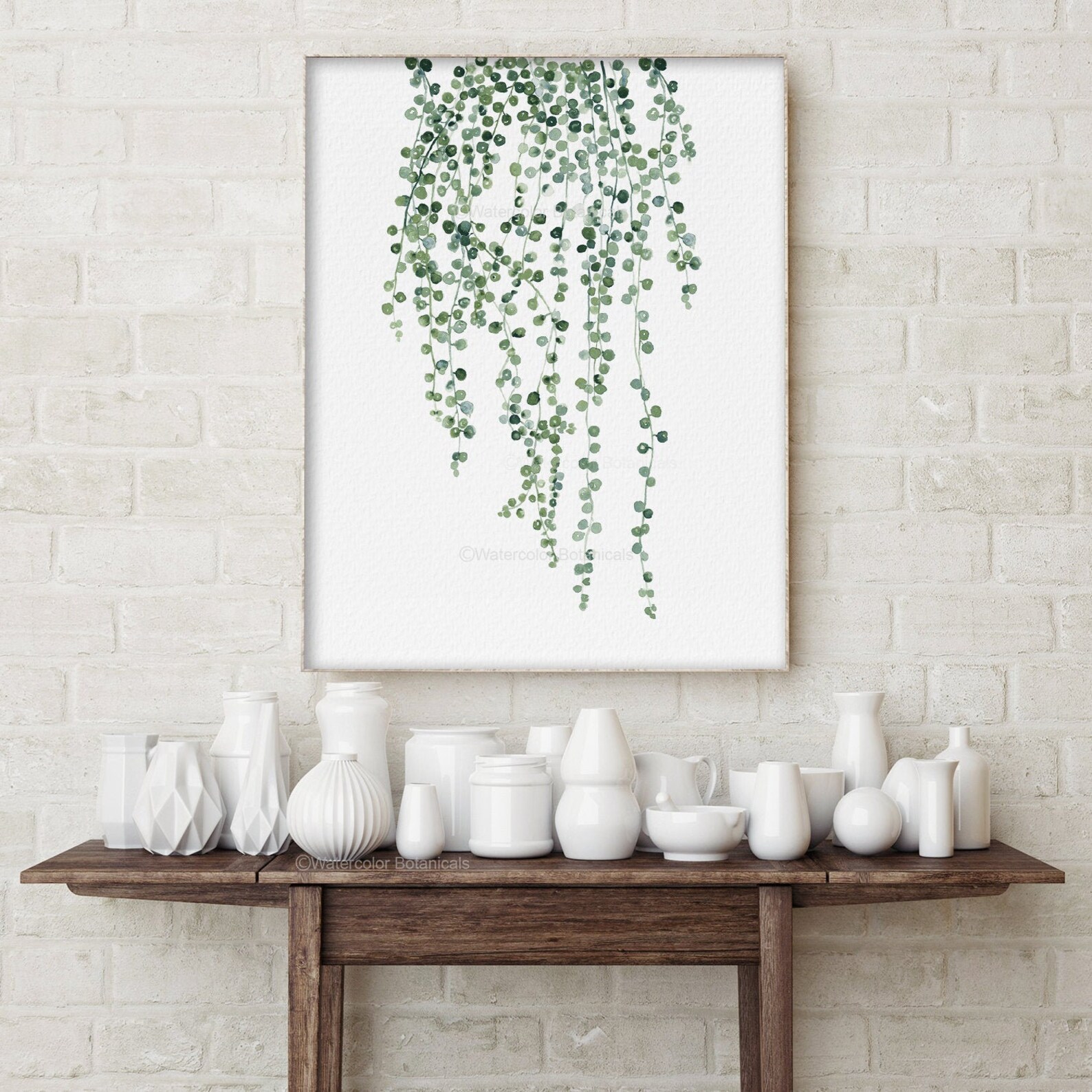 String of Pearls Print Minimalist Drawing Watercolor Botanical - Etsy