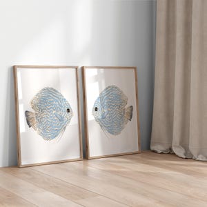 Abstract Discus Fish, Set of 2 Prints, Modern Coastal Wall Decor ...