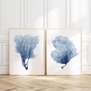 Modern Seafan Coral Poster, Minimalist Art, Set of 2 Prints, Navy Blue ...