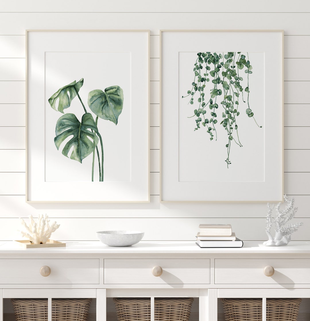 Modern Wall Art Set Of 2 Prints Monstera Deliciosa And Ceropegia