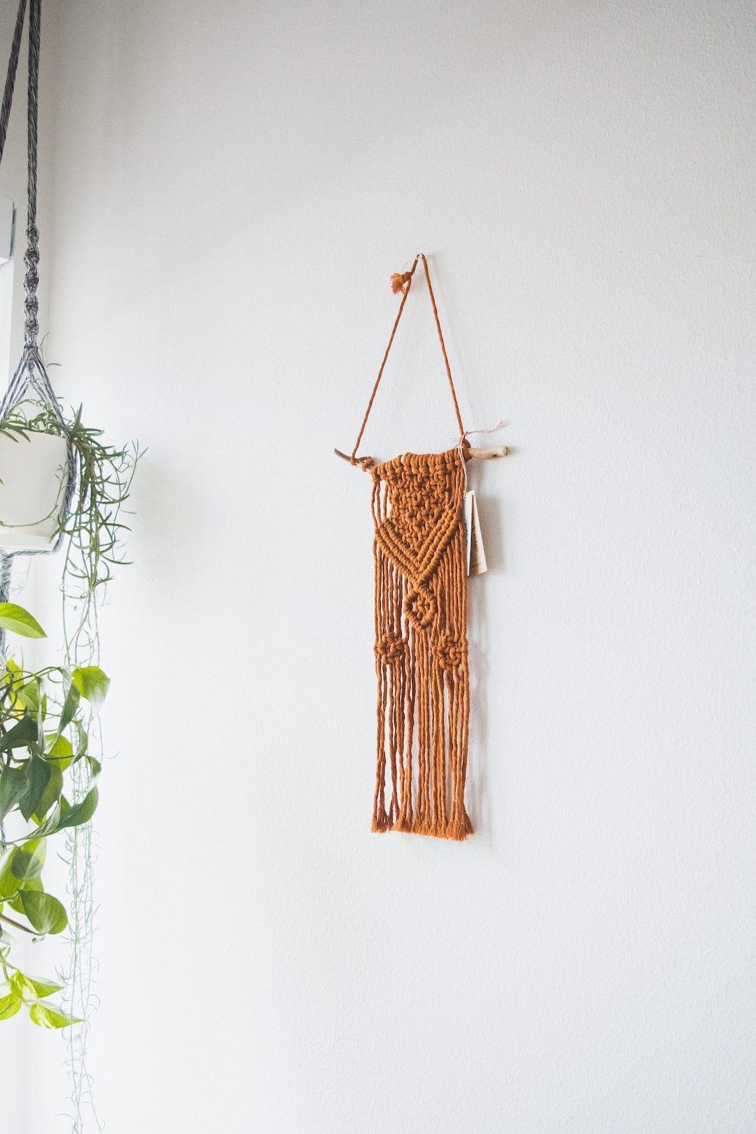 Macrame Wall Hanging Buffalo - Etsy