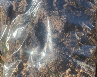 Cow Pasture Manure Pie Patty Poop - Fresh Natural Garden Plant ...