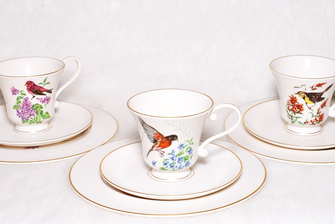 Vintage Pickard China Bird Tea Set: 18-piece Collectible - Etsy