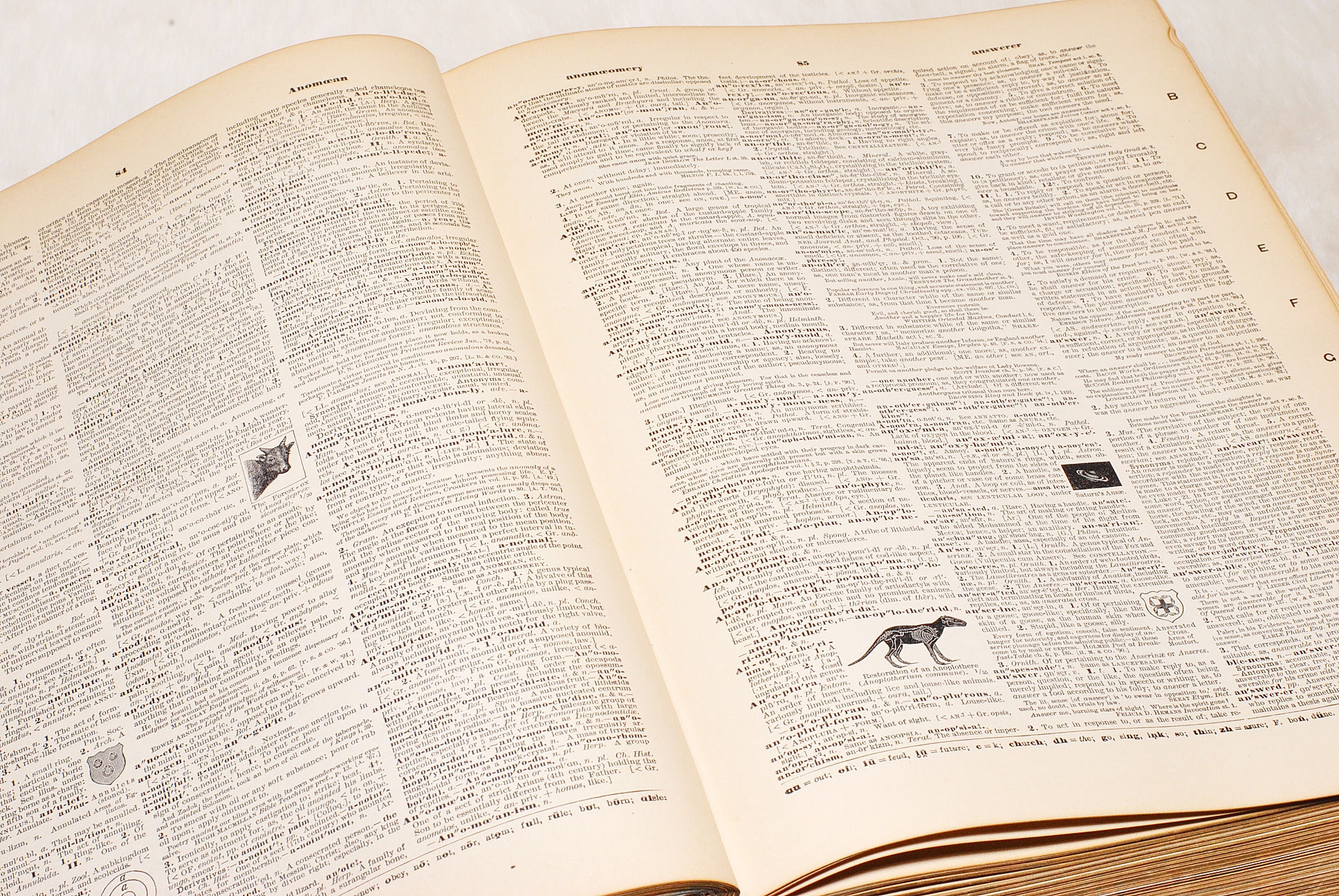 Antique Collectible Standard Dictionary of the English Language Upon ...