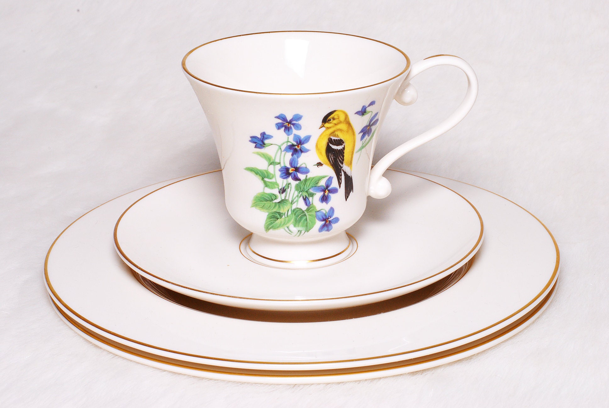 Vintage Pickard China Bird Tea Set: Teacups, Saucers, Plates - Etsy