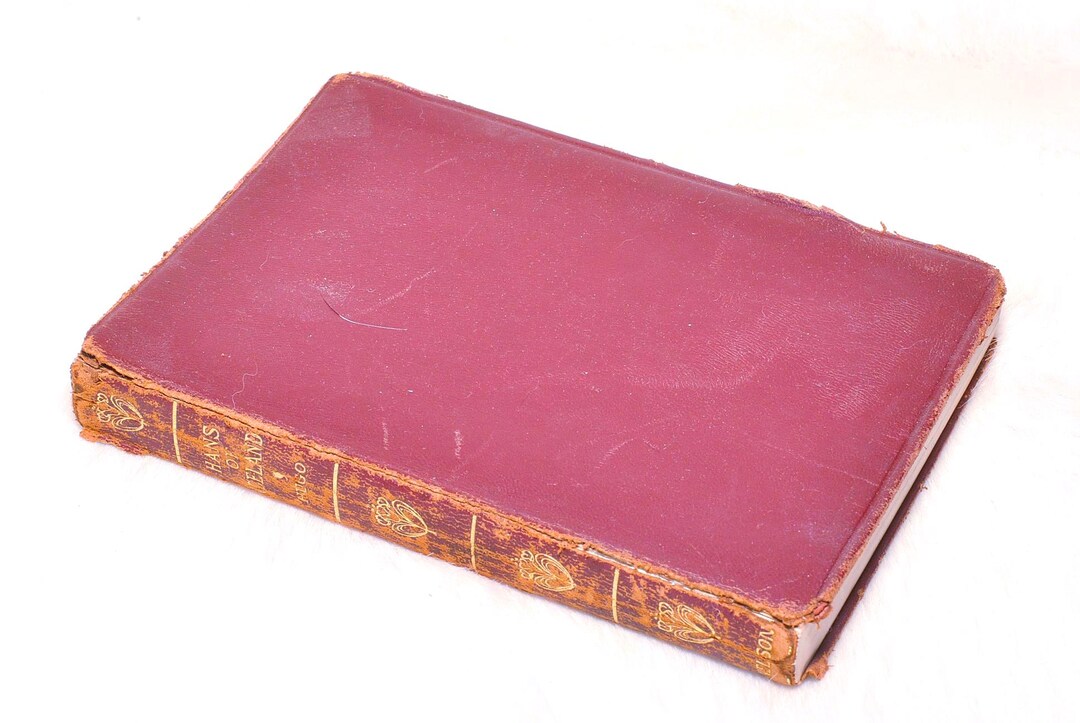 Antique Collectible Hans of Iceland by Victor Hugo Thomas Nelson Sons ...
