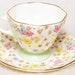 Vintage Collectible EB Foley Bone China England Chintz Pattern Teacup ...