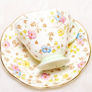 Vintage Collectible EB Foley Bone China England Chintz Pattern Teacup ...