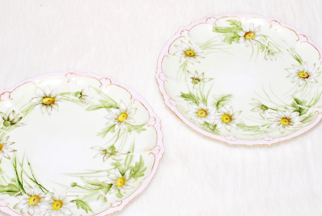 Antique RC Rosenthal Claire Bavaria Germany Plates: Floral Home Decor ...