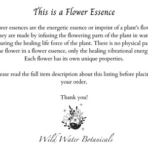Rowan / Mountain Ash Flower Essence - Etsy