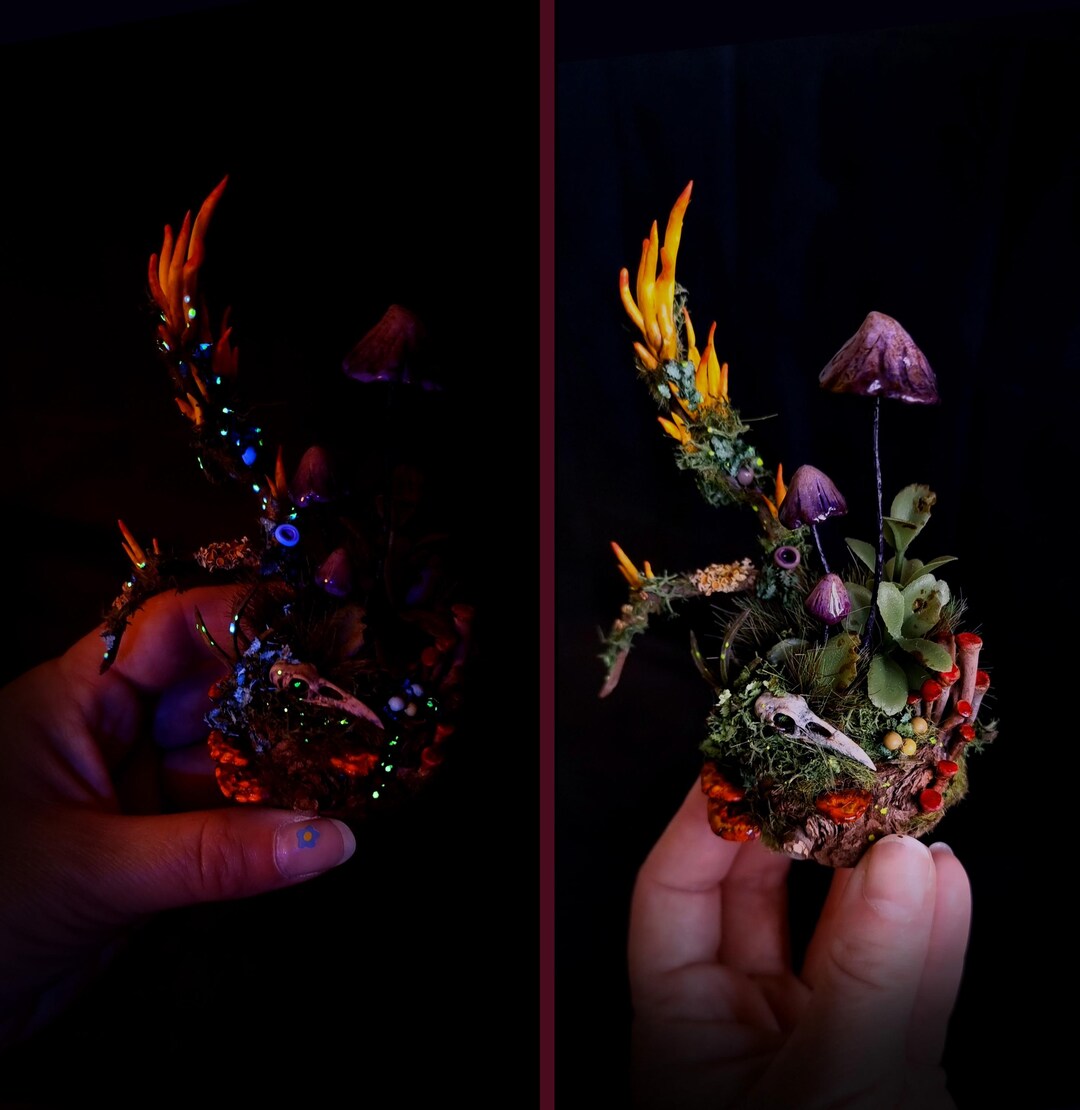Mushrooms Wood Log With UV Light Phosphorescence and Bird Skull - Glow ...