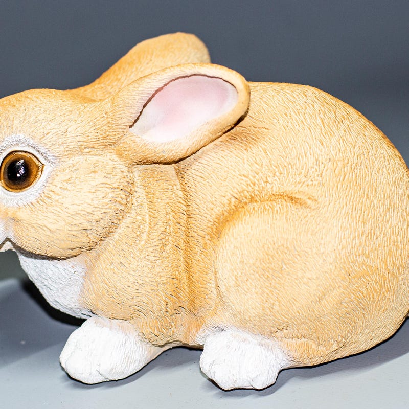 Bunny Piggy Bank - Etsy