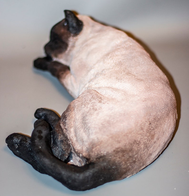Siamese Cat Urn Custom Paint *cremation Statue Pet Ashes Box *sleeping ...