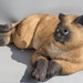 Siamese Cat Urn cremation Statue Pet Ashes decorative Keepsake Memorial ...