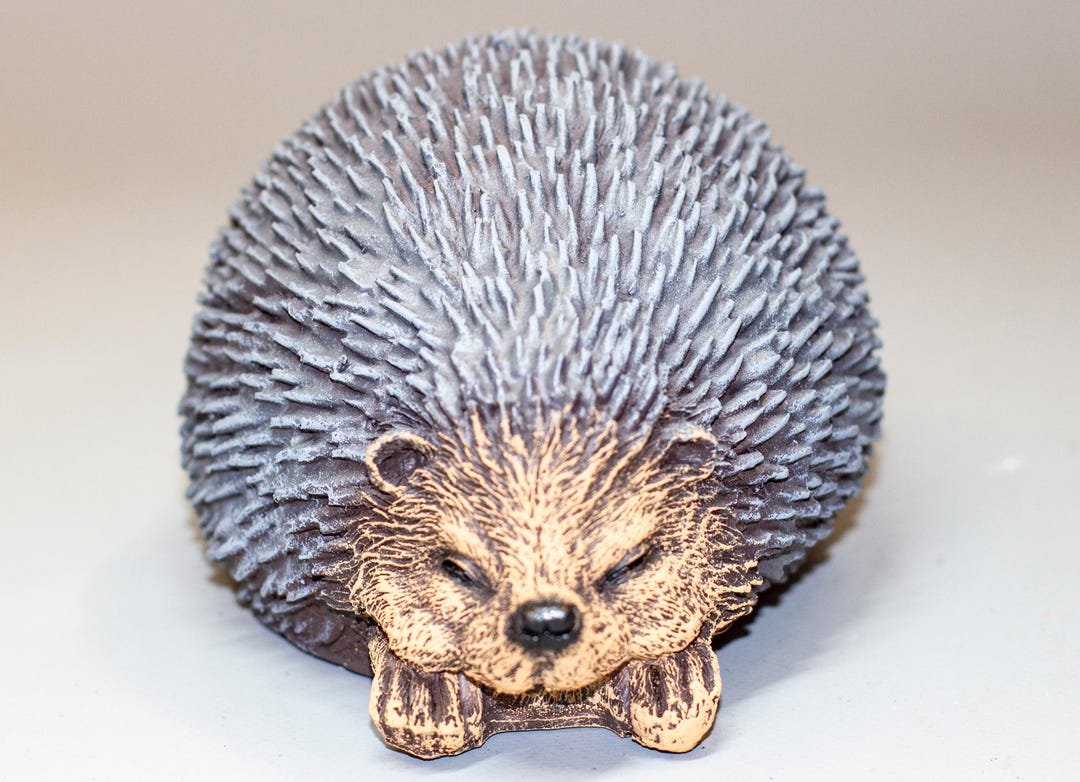 Unusual Piggy Bank Hedgehog *coin Box Wild Animal *money Pot Cash ...