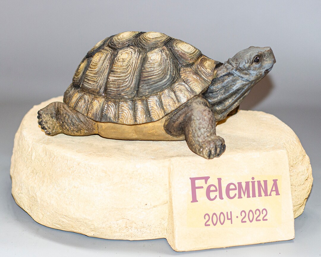 Turtle Memorial Stone *pet Casket Urn *cremation Statue Tortoise Ashes ...