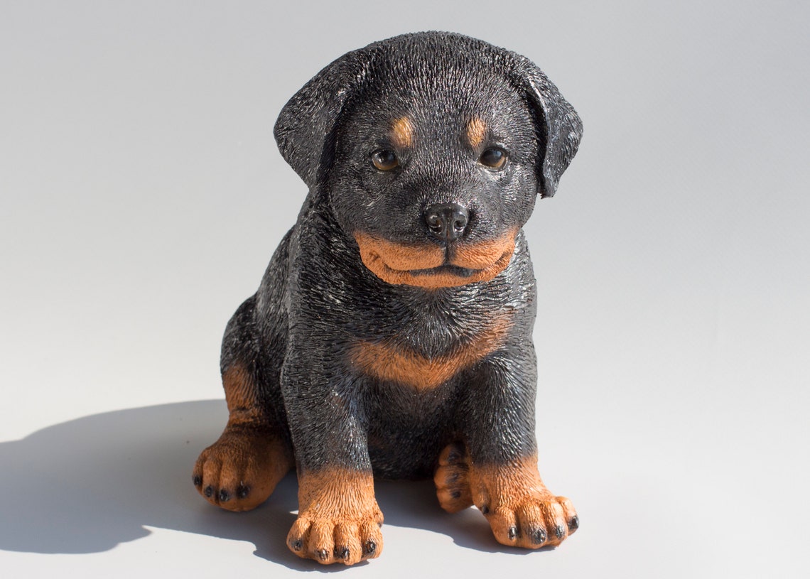 Rottweiler Sculpture *memorial Dog Statue *sitting Puppy Realistic Home ...