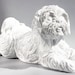 Maltese Urn Unpainted *dog Memorial Ready to Paint *bolonka Cremation ...