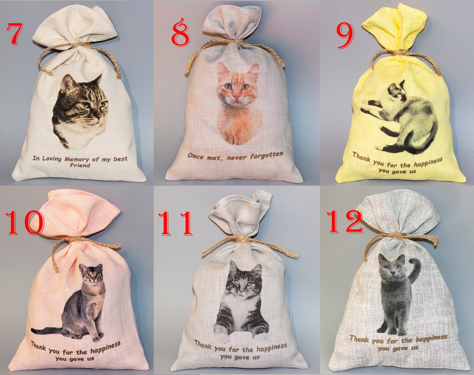 Siamese Cat Urn *cremation Statue Pet Ashes *decorative Keepsake ...