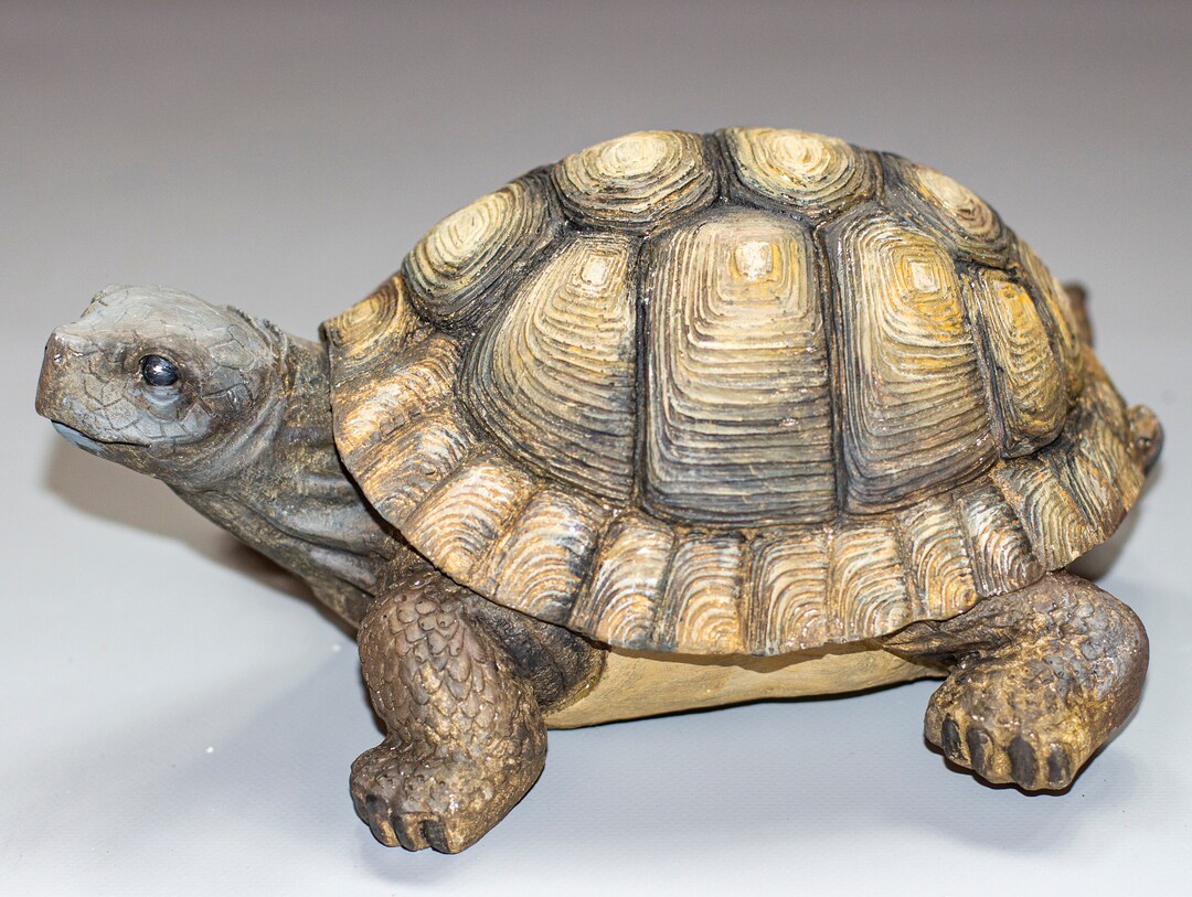 Turtle Urn Ashes Holder *tortoise Statue Custom Paint *pet Memorial ...