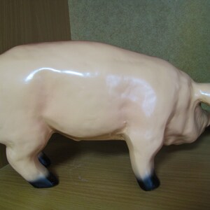 Large Piggy Bank coin Bank Adult money Box Pig livestock - Etsy