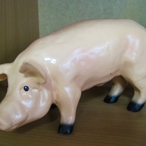 Large Piggy Bank coin Bank Adult money Box Pig livestock - Etsy