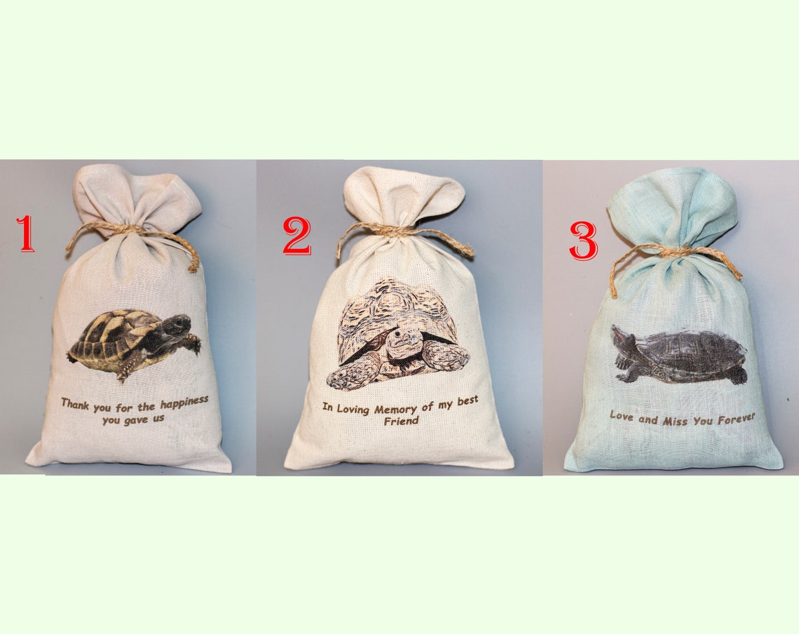 Tortoise Statue pet Memorial turtle Grave Figurine wildlife - Etsy