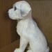 Dog Piggy Bank money Bank Animal labrador Statue coin Box Sculpture Pet ...