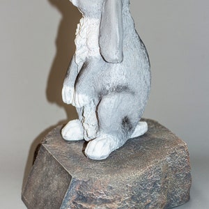 Lop Eared Rabbit Urn *bunny Memorial Tombstone *decorative Statue Pet ...