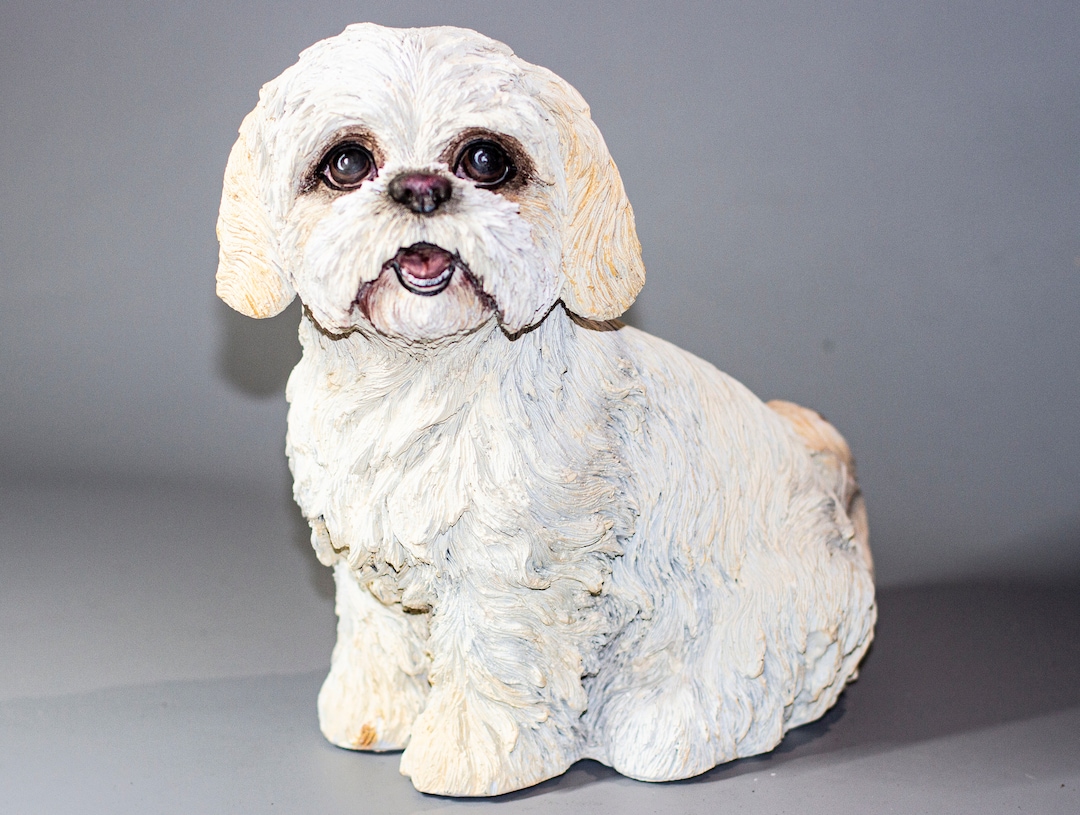 Bolonka Maltese Urn *cremation Statue Pet Ashes *dog Memorial ...