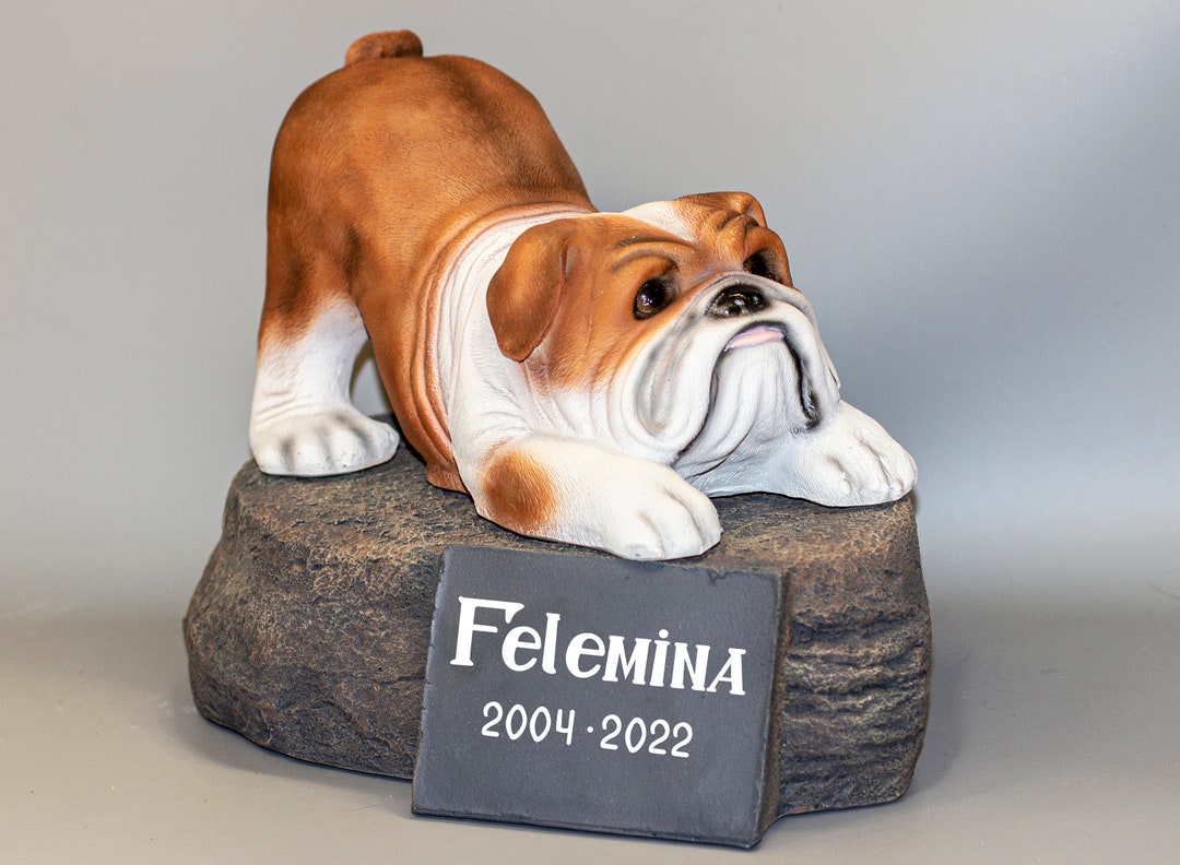 English Bulldog Urn *cremation Statue Pet Ashes Holder *dog Memorial ...