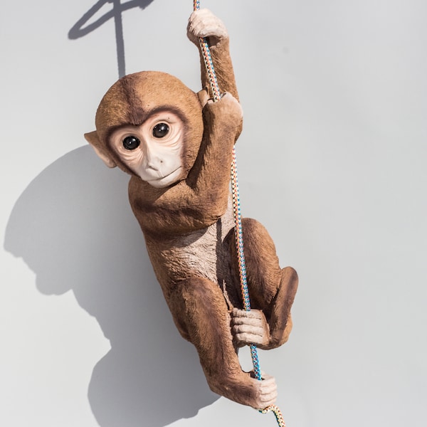 Monkey Home Decor - Etsy