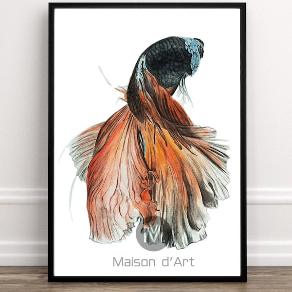 Betta Fish Art - Etsy