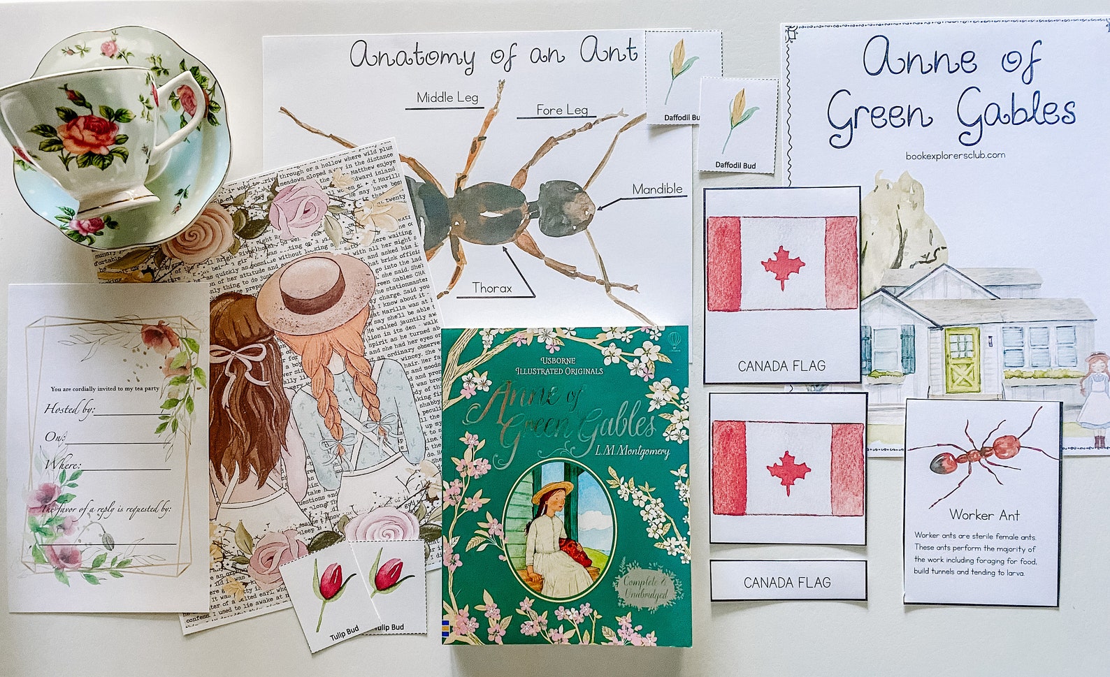 Anne of Green Gables Book Companion Unit - Etsy