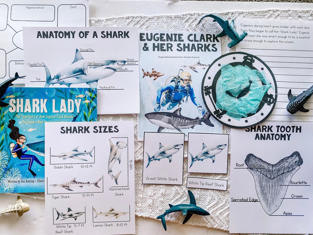 Eugenie Clark and Her Sharks - Etsy