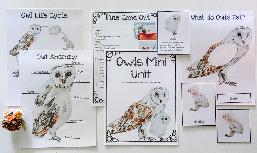 Owl Mini Unit - Etsy