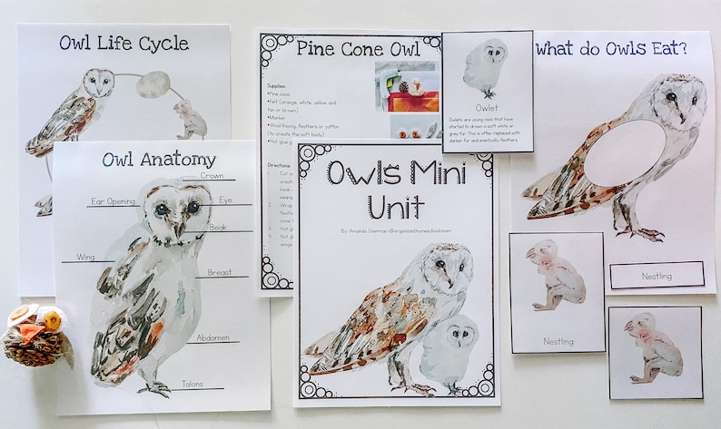 Owl Mini Unit - Etsy