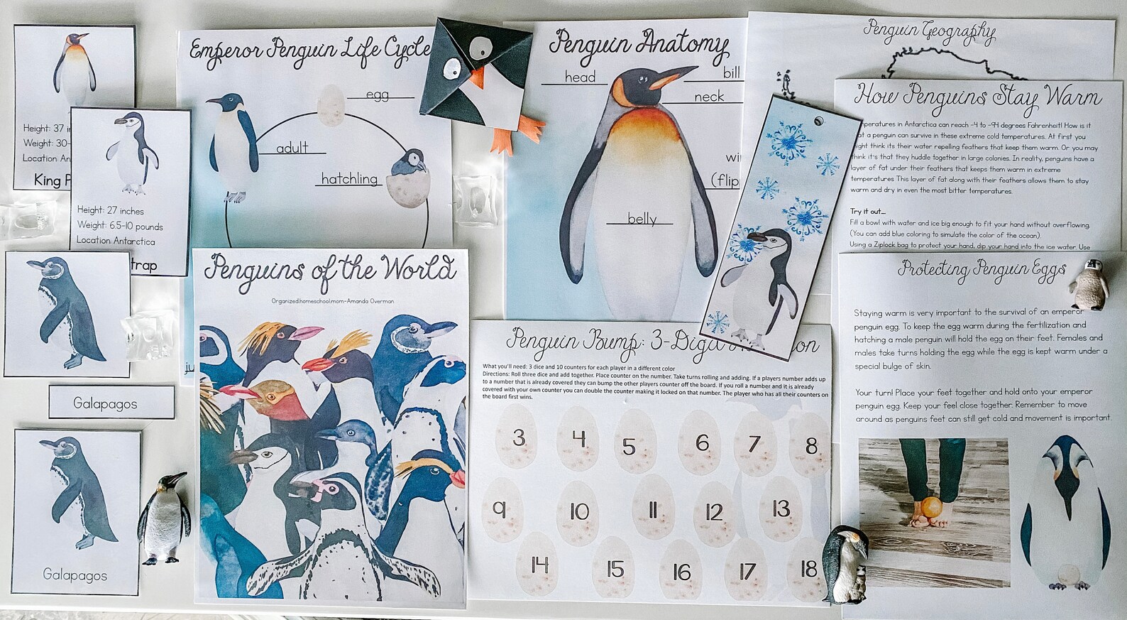 Penguins of the World Unit Study - Etsy