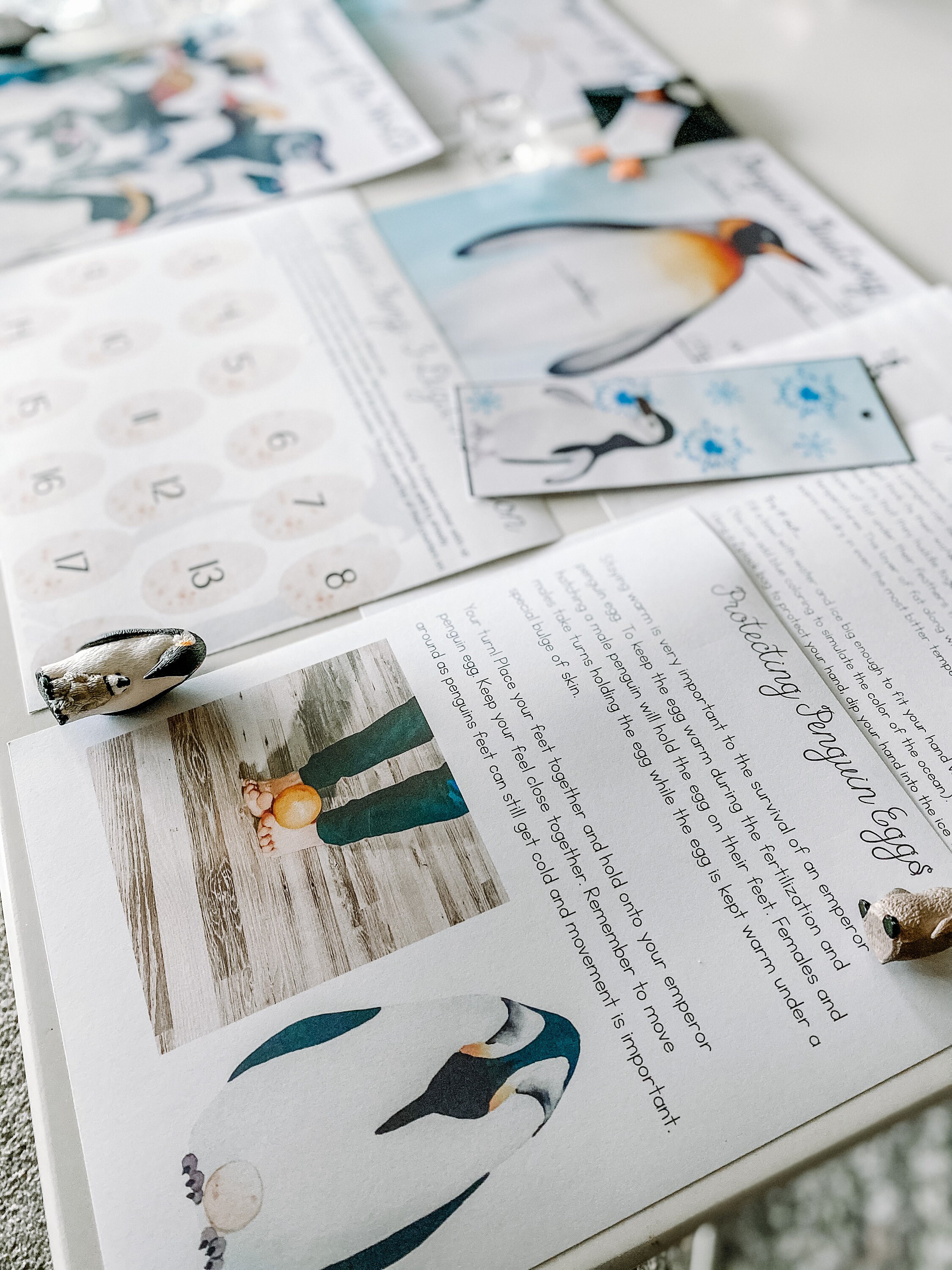 Penguins of the World Unit Study - Etsy