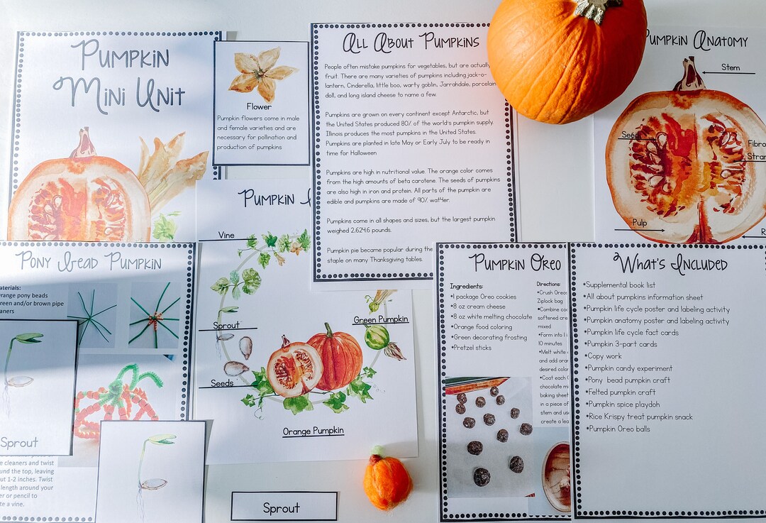 Pumpkin Mini Unit - Etsy