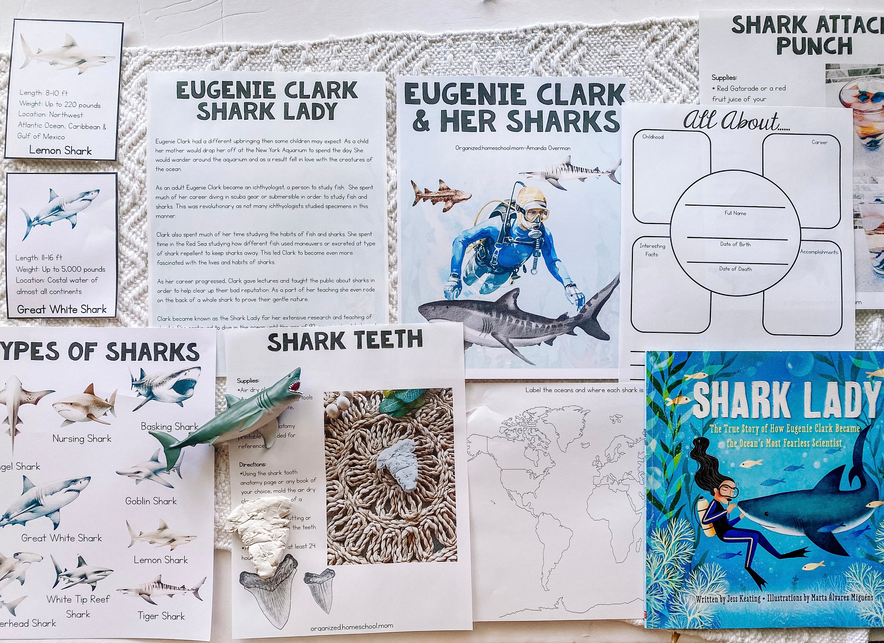 Eugenie Clark and Her Sharks - Etsy