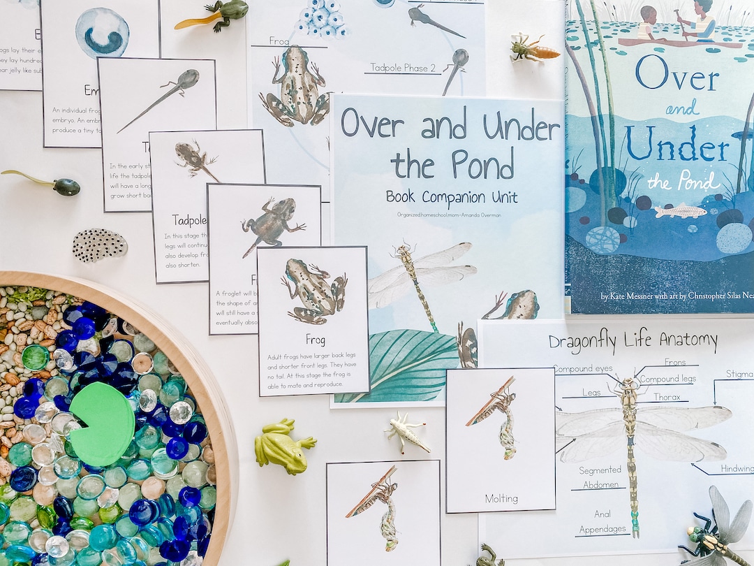 Over and Under the Pond Book Companion Unit - Etsy