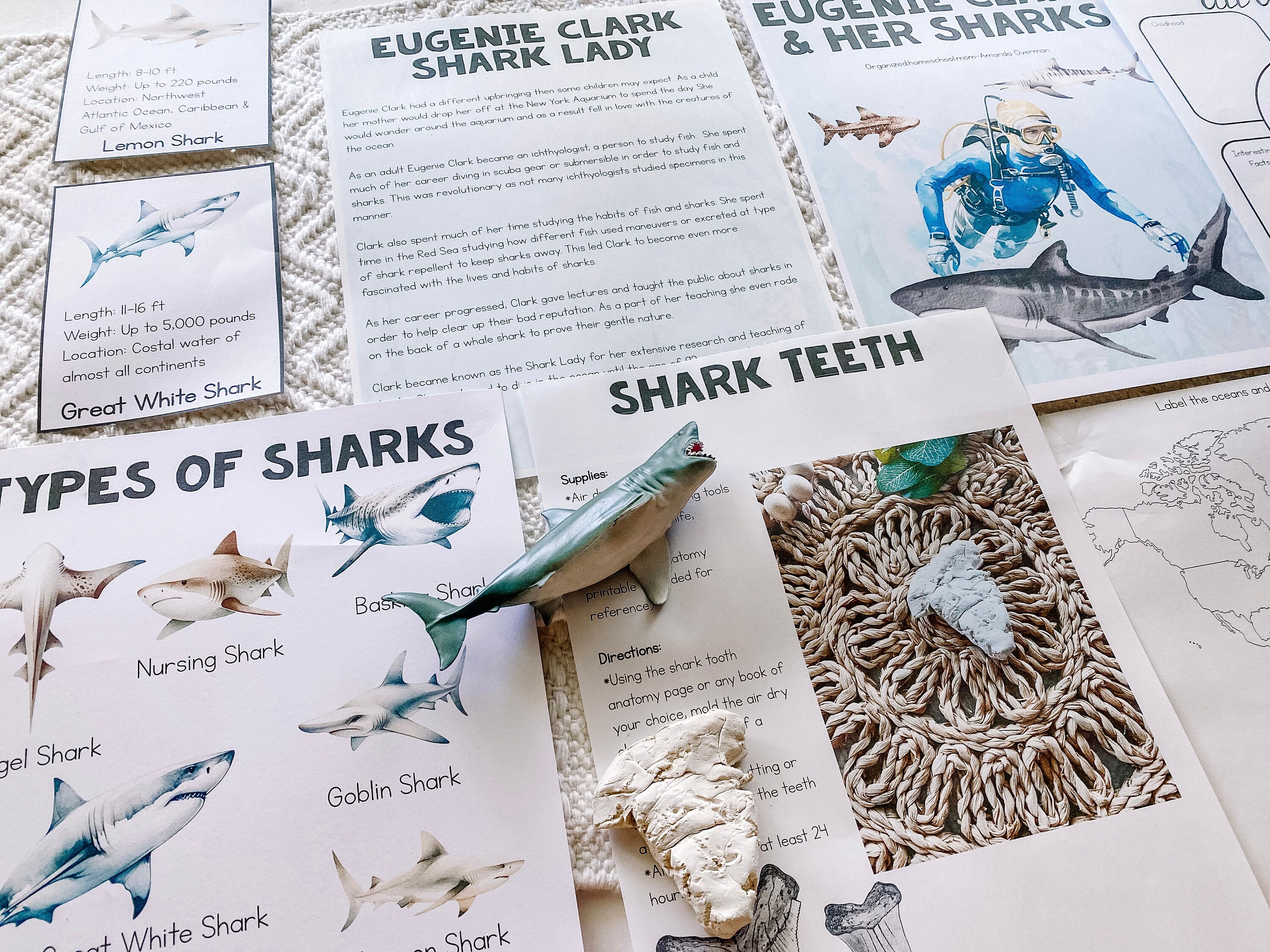Eugenie Clark and Her Sharks - Etsy