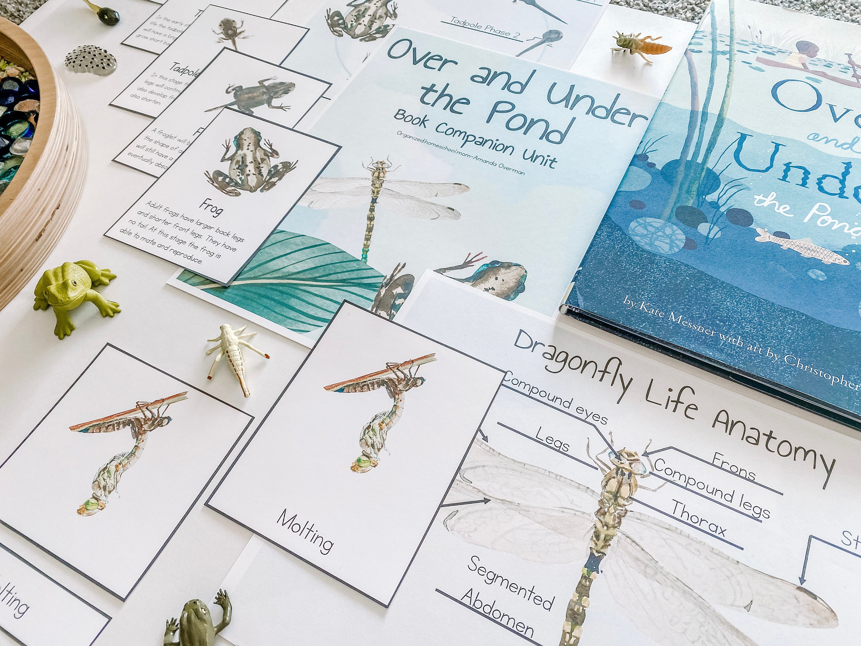 Over and Under the Pond Book Companion Unit - Etsy