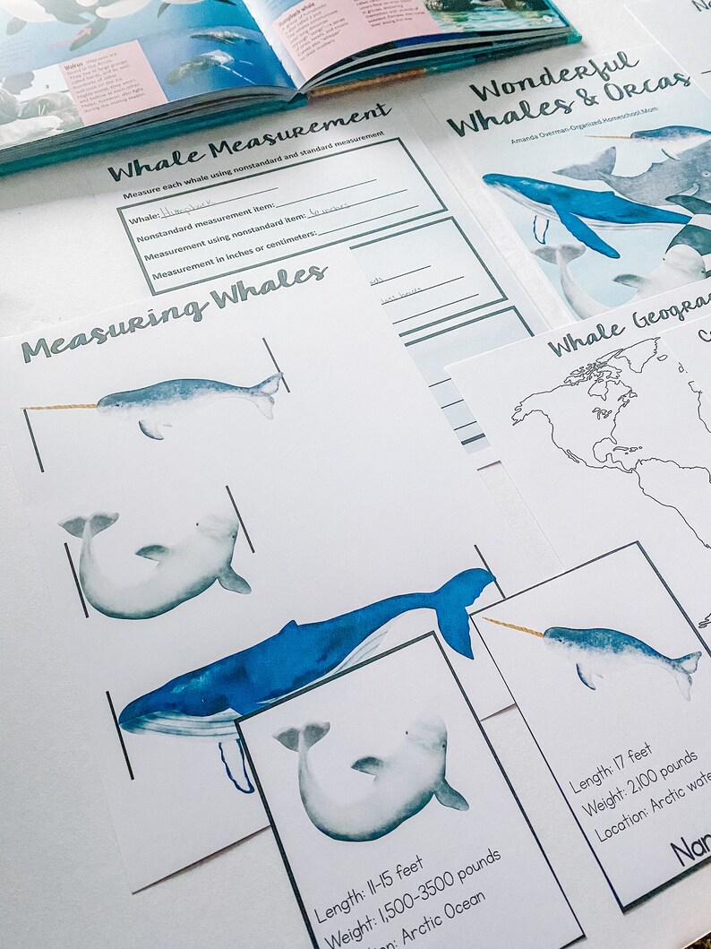 Wonderful Whales and Orcas - Etsy
