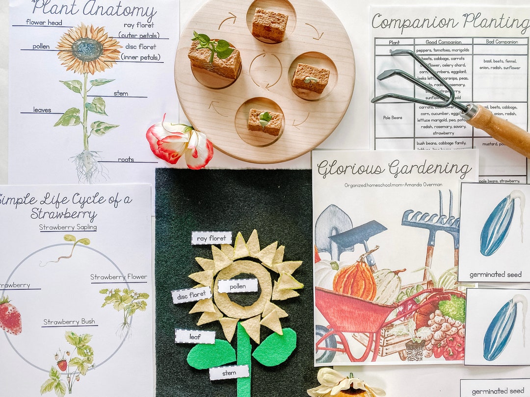 Glorious Gardening Unit Study - Etsy