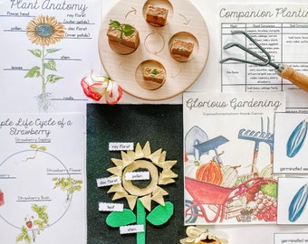 Spring Unit Study, Nature Study, Daffodil Unit Study, Squirrel Unit ...